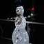 The Holiday Aisle® Snowman Lighted Display & Reviews | Wayfair