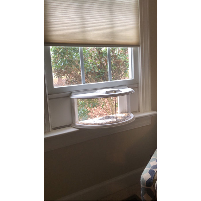 Arlmont & Co. Krick View Window Tray Bird Feeder & Reviews | Wayfair
