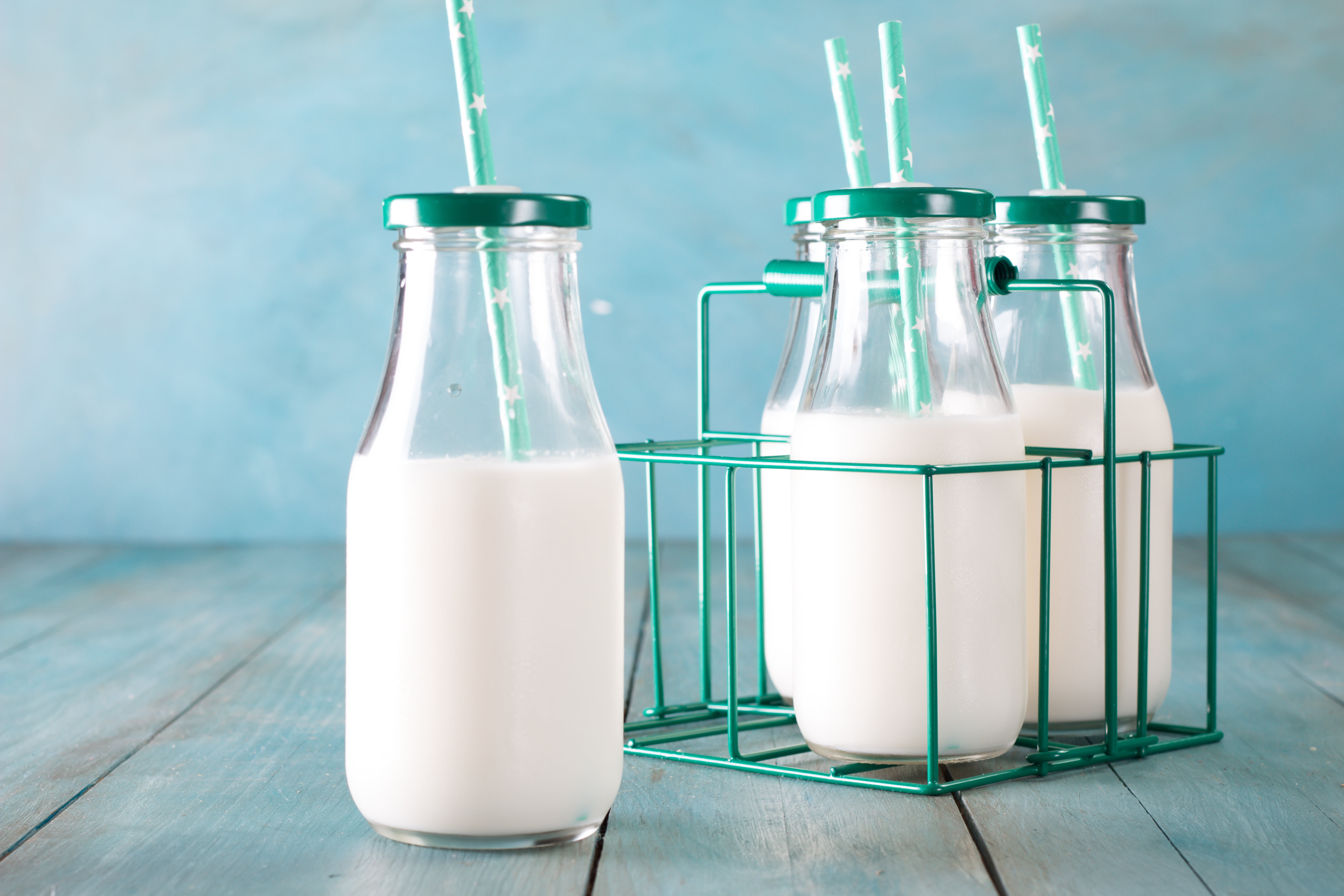 Ebern Designs A Bottles Of Milk On Canvas Photograph | Wayfair