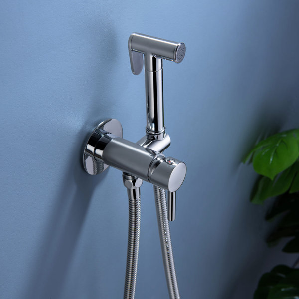 AWZTOO Single Hole Horizontal Bidet Faucet | Wayfair