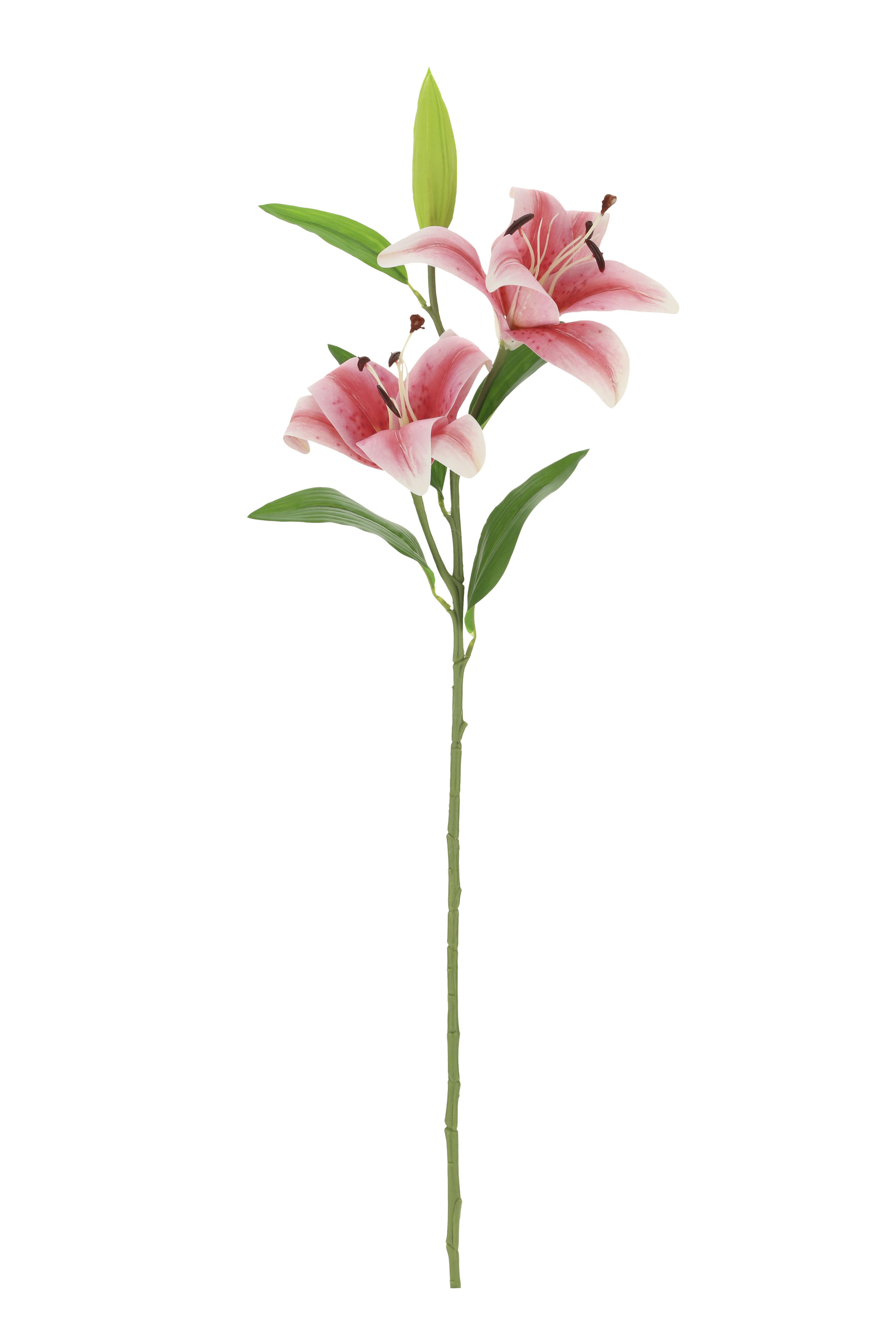 Mark Roberts Stargazer Lily Stem | Wayfair