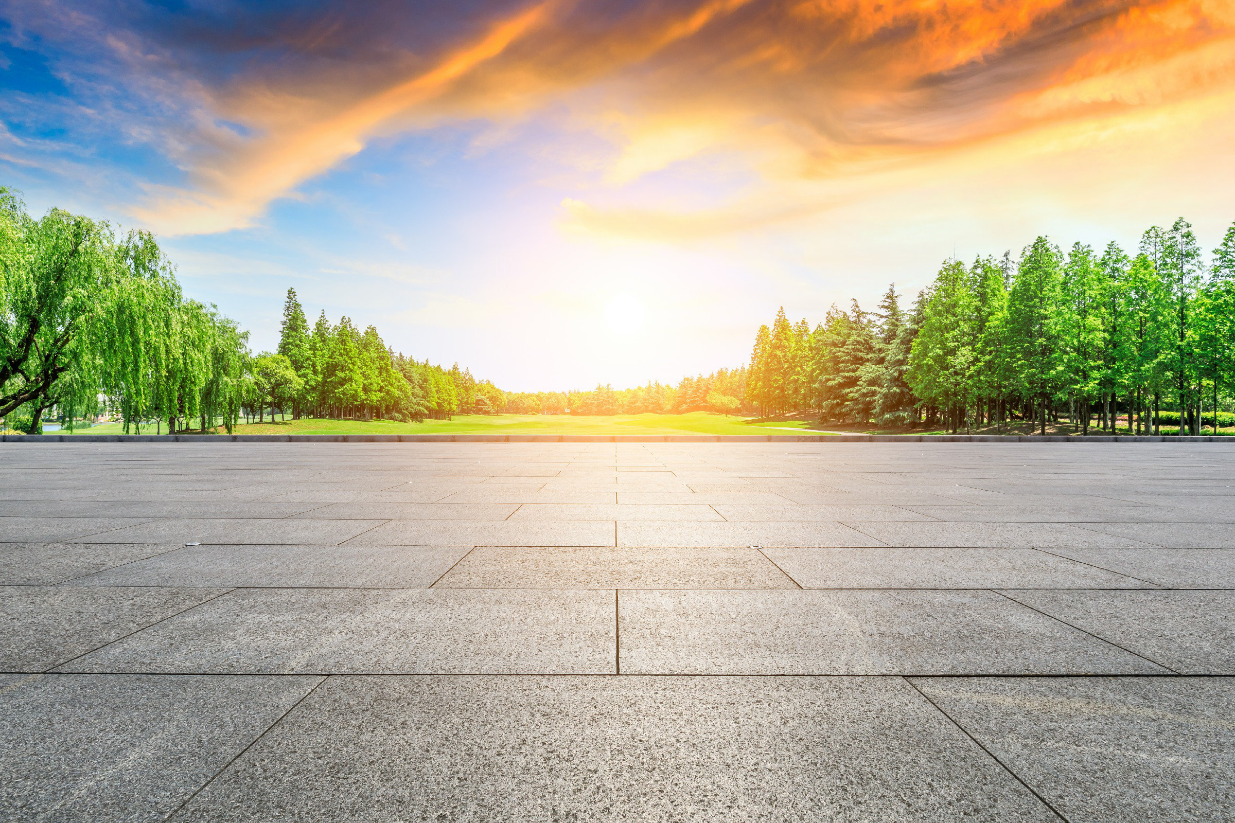 Ebern Designs Green Forest Scenery by - Wrapped Canvas Photograph | Wayfair