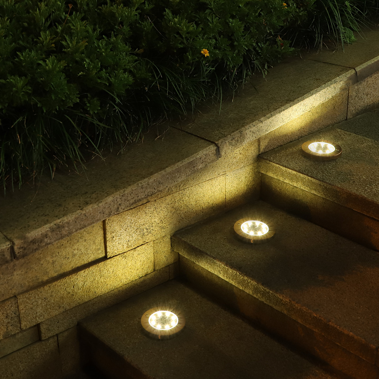 CELLPAK White Solar Powered Pathway Light | Wayfair