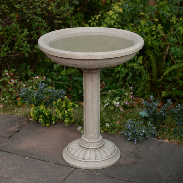 Charlton Home® Resin Sundial Birdbath & Reviews - Wayfair Canada