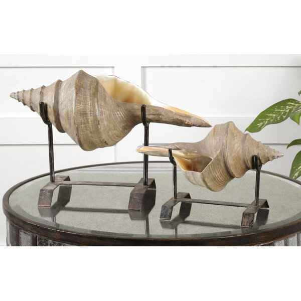 Conch-shell-sculpture | Wayfair
