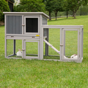 Tucker Murphy Pet™ Faron Weather Resistant Rabbit Hutch With Ramp ...