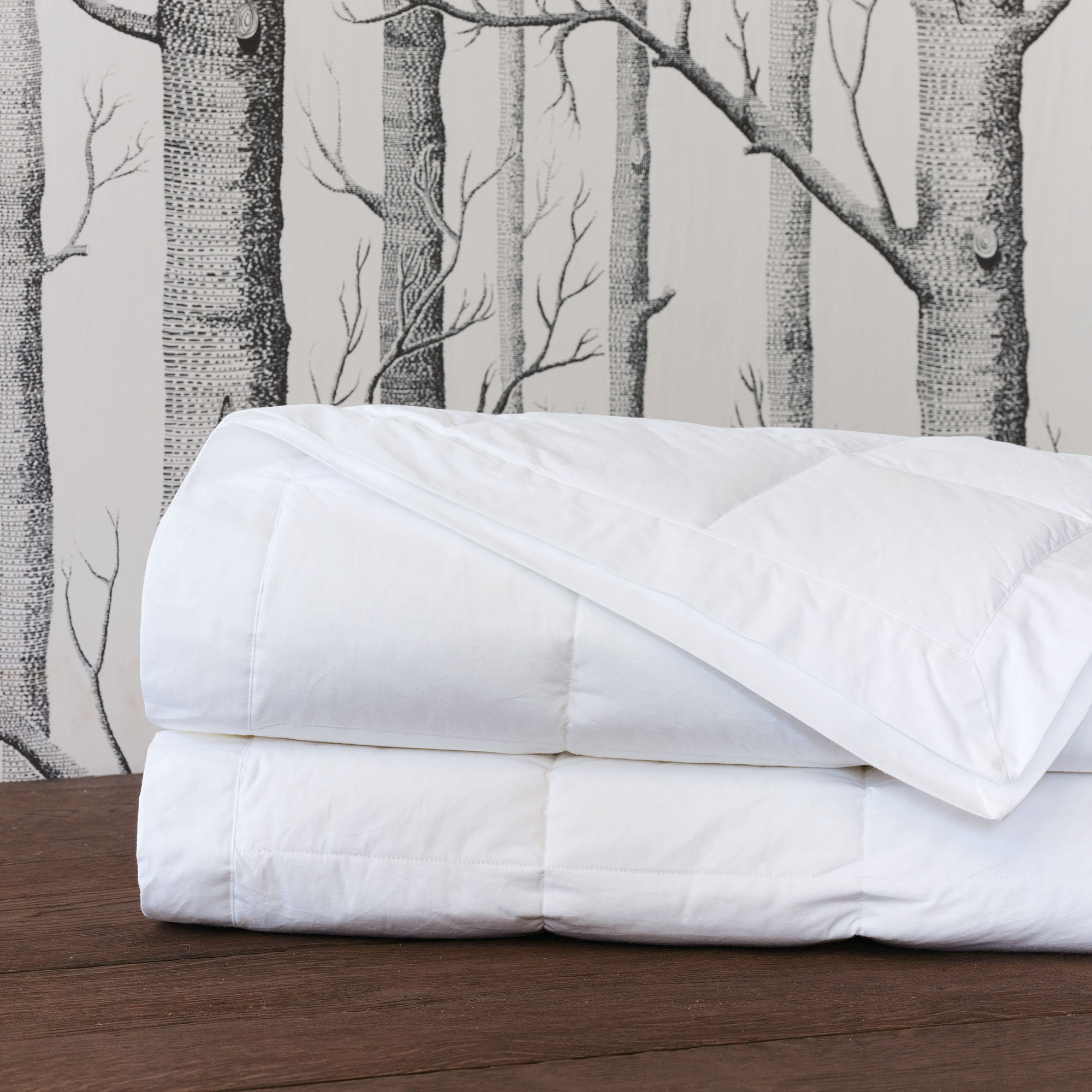 Eastern Accents Concord Down Blanket | Wayfair