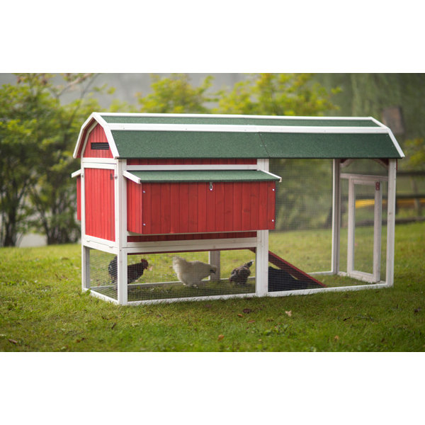 Archie & Oscar™ Hermione 33.93 Square Feet Chicken Coop with Chicken ...
