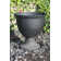 Astoria Grand Dunkin Clay Urn Planter | Wayfair.co.uk
