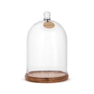 Cloche | Wayfair