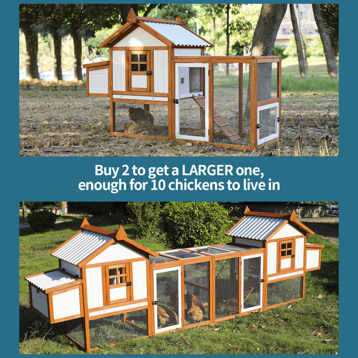 Tucker Murphy Pet™ Chahat Walk In Chicken Coop with Chicken Run ...
