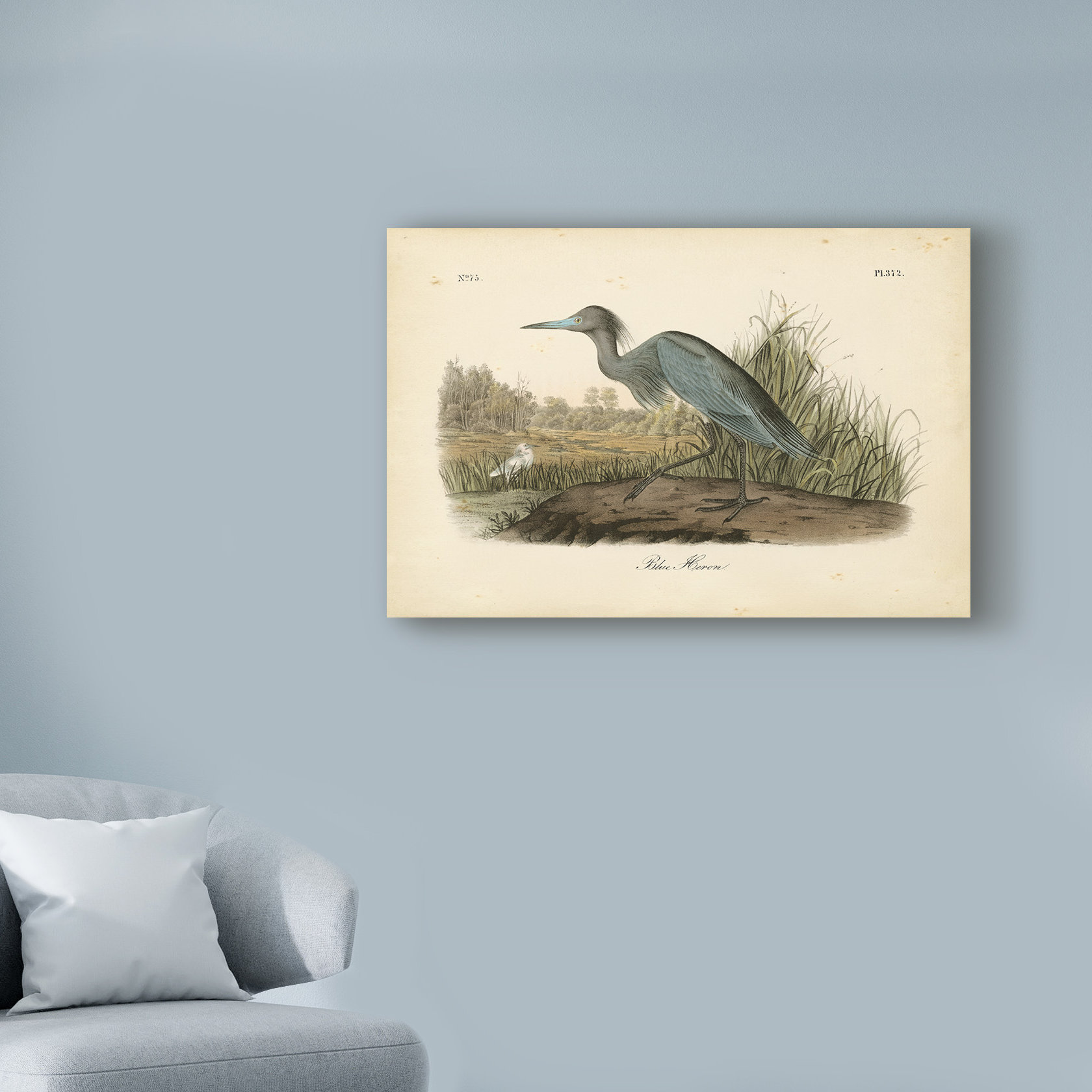 Bay Isle Home Blue Heron by James Audubon - Wrapped Canvas Graphic Art ...