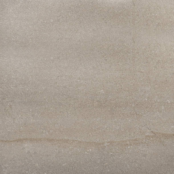 Parvatile Core 12" x 24" Porcelain Field Tile in Vanilla | Wayfair
