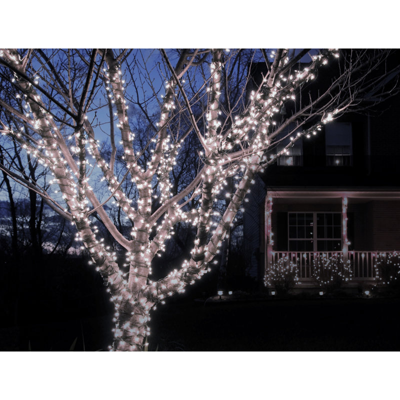 The Holiday Aisle® Shepparton 105'' Outdoor 225 - Bulb Wide Angle LED ...