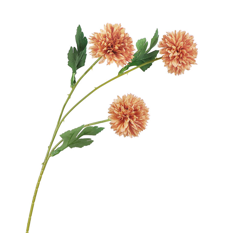 Primrue Ball Mum Pom Pom Flower Stem | Wayfair