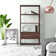 17 Stories Jalaiah 27Cm H x 112Cm W Wood Standard Bookcase | Wayfair.co.uk