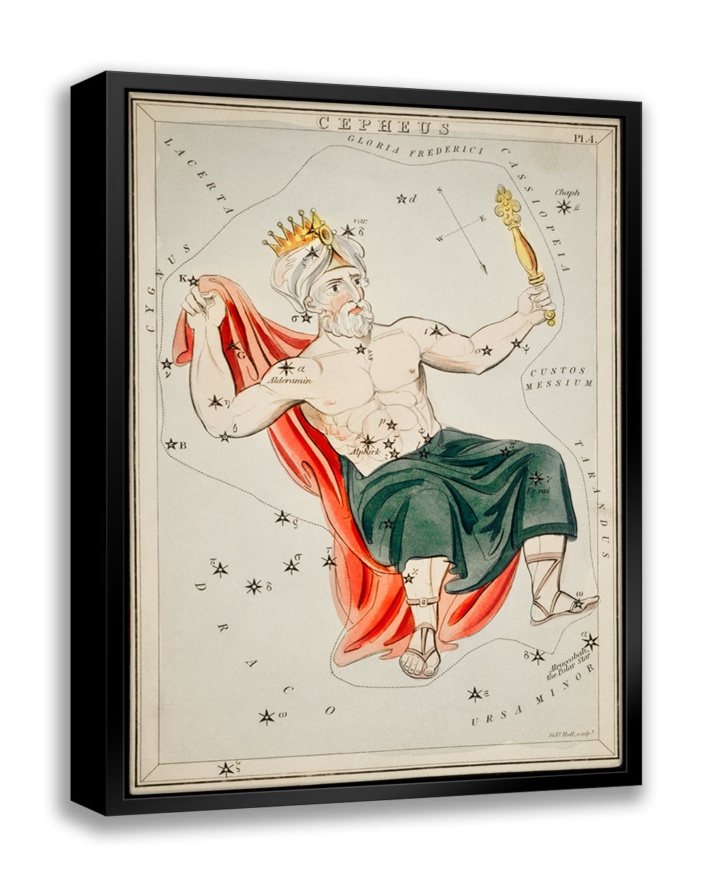 ATX Art Group LLC Astronomical Chart Illustration Of The Cepheus by ...