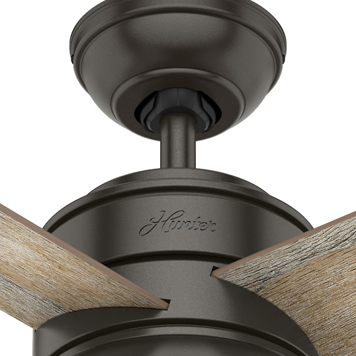 Hunter Fan 36'' Loki 4 - Blade Standard Ceiling Fan with Pull Chain and ...