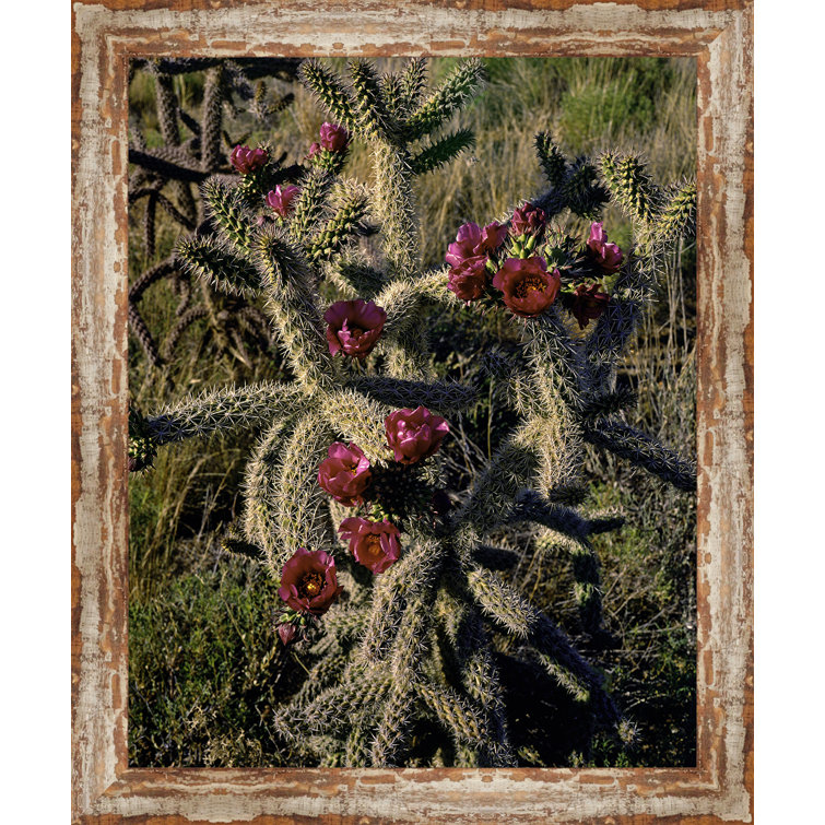 Dakota Fields Cholla Cactus Framed On Canvas Graphic Art | Wayfair