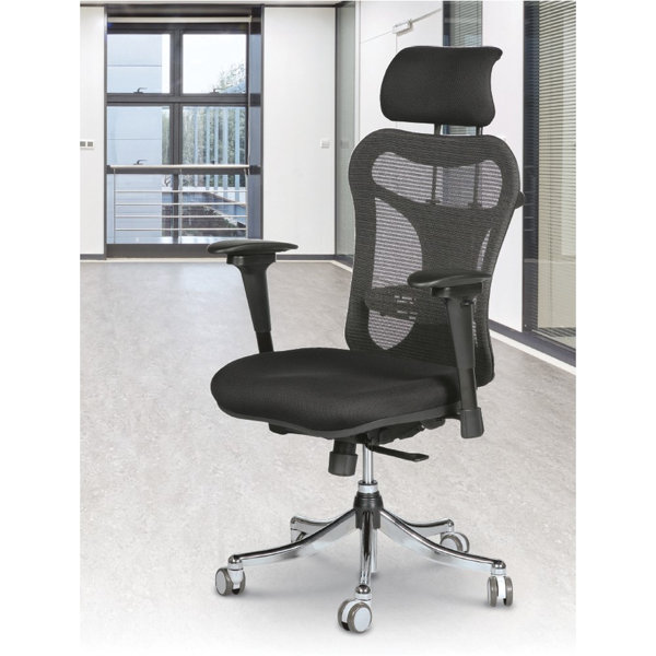 Balt Ergonomic Mesh Office Chair & Reviews | Wayfair