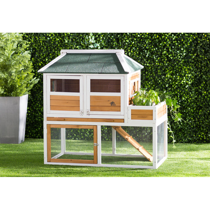 Archie & Oscar™ Enrique 15.8 Square Feet Chicken Coop with Chicken Run ...