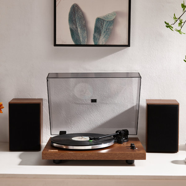 Arkrocket Audio Arkrocket Cassini Decorative Record Player - Wayfair Canada