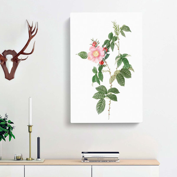 East Urban Home Dog Rose In Pink by Pierre-Joseph Redoute - Wrapped ...