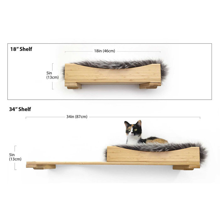 CatastrophiCreations Designer Rectangle Cat Bed | Wayfair
