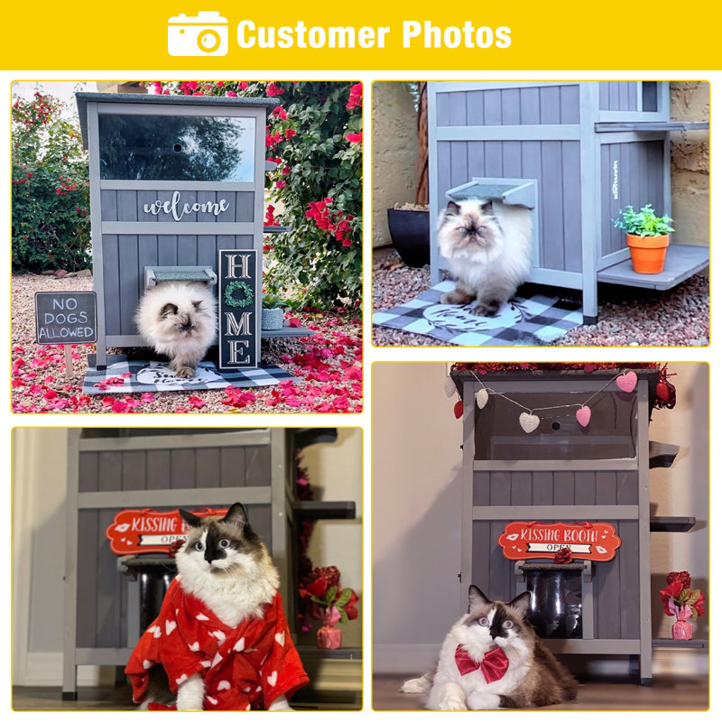 Tucker Murphy Pet™ Worrell Cat House & Reviews | Wayfair