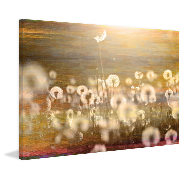 ParvezTaj Field' By Parvez Taj by Parvez Taj - Photograph on Canvas ...