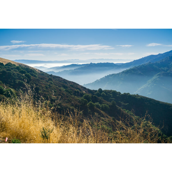 Millwood Pines Aleayah Mount Umunhum Summit, California On Canvas by ...