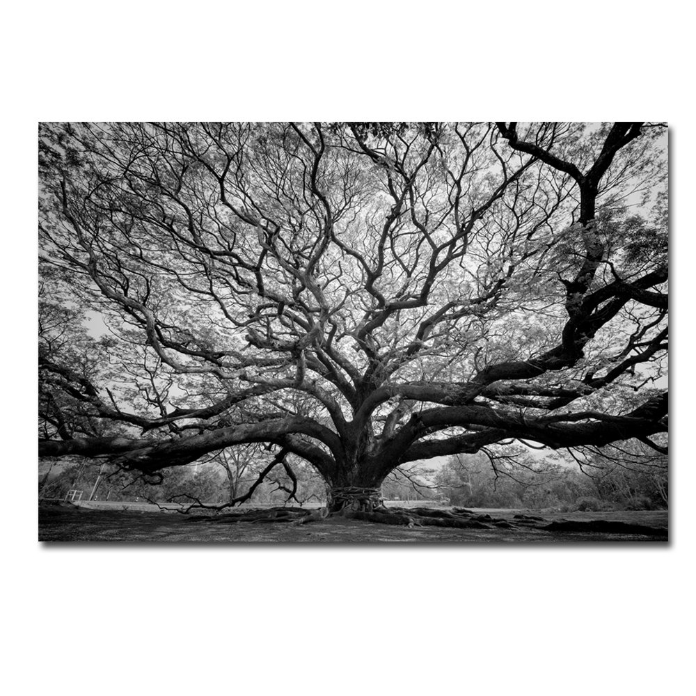 DecorumBY Tree Of Wisdom Tree Of Wisdom - Unframed Photograph | Wayfair