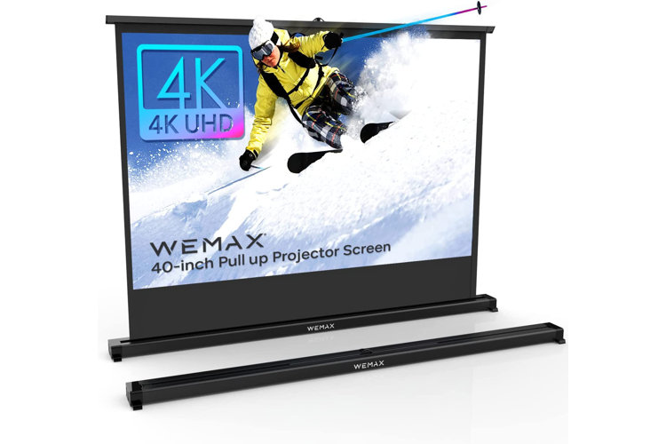 The Best Outdoor Movie Screens for Summer Entertainment | Wayfair