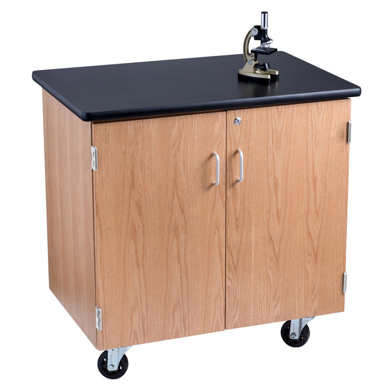 National Public Seating Mobile Science Lab Storage Cabinet Workstation ...