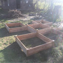 Greenes Fence Jaxon 12 ft x 12 ft Cedar Raised Garden & Reviews | Wayfair