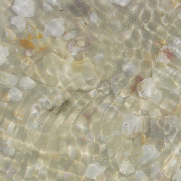 Rosecliff Heights Shell Squares I by - Wrapped Canvas Print | Wayfair