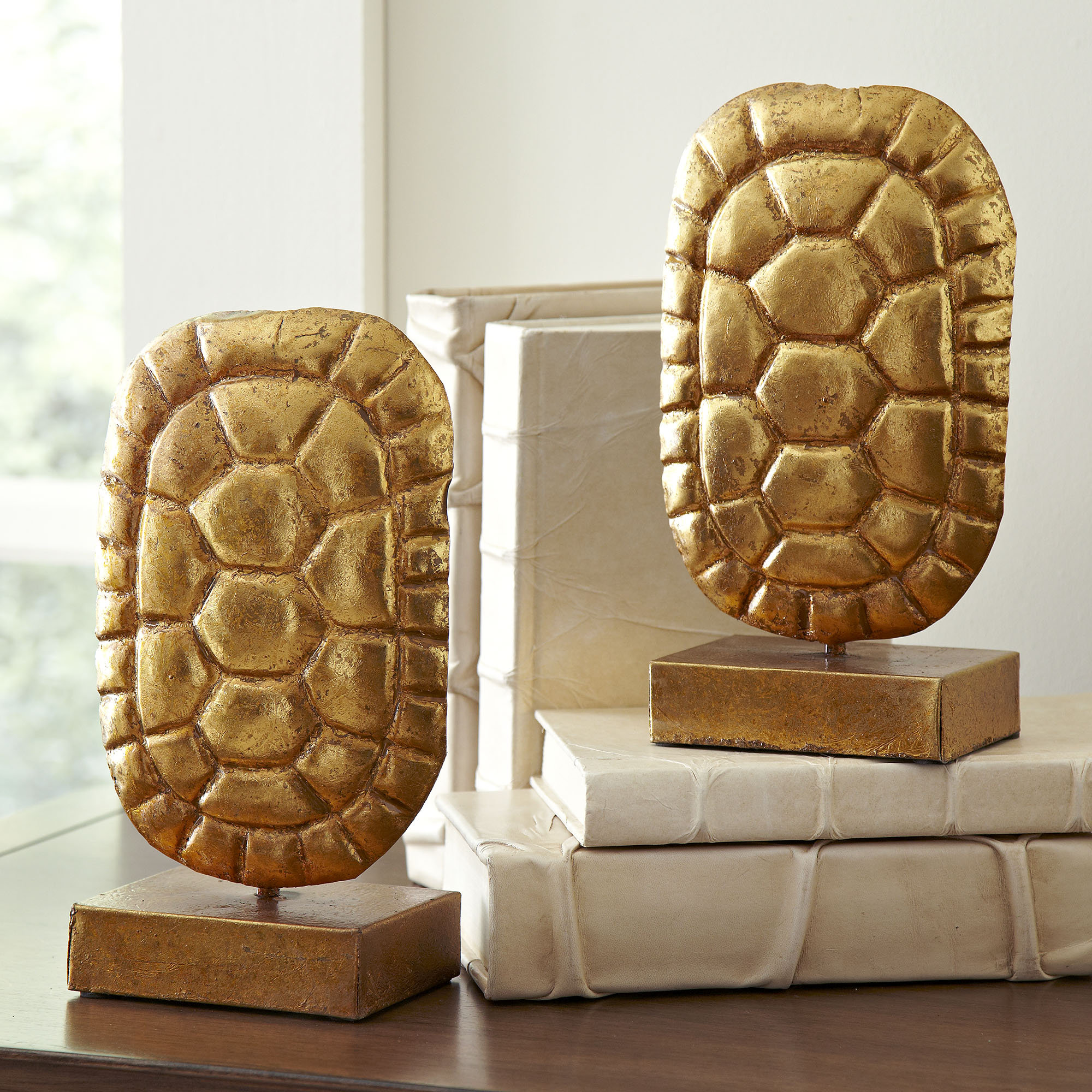Bay Isle Home Alessandra Turtle Shell Decor & Reviews | Wayfair
