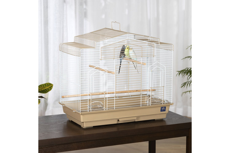 Bird Cage Buying Guide: How to Choose the Best Option | Wayfair
