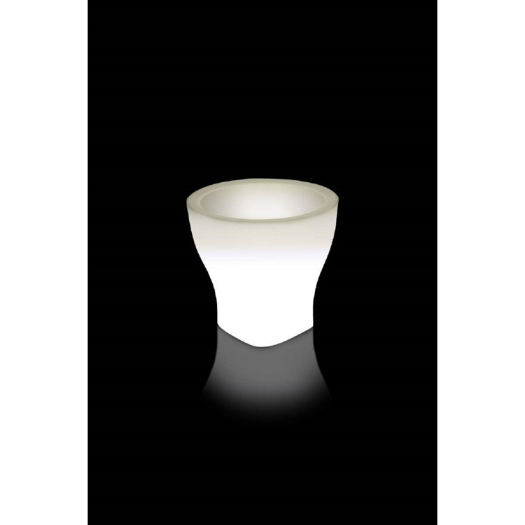 Ivy Bronx DOMUS Round Pot + Light Kit | Wayfair.co.uk