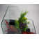 Penn Plax 1 Gallon AquaTerrium™ Aquarium Tank & Reviews | Wayfair