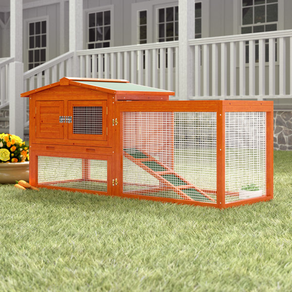 Tucker Murphy Pet™ Lucius Weather Resistant Hutch with Ramp & Reviews ...