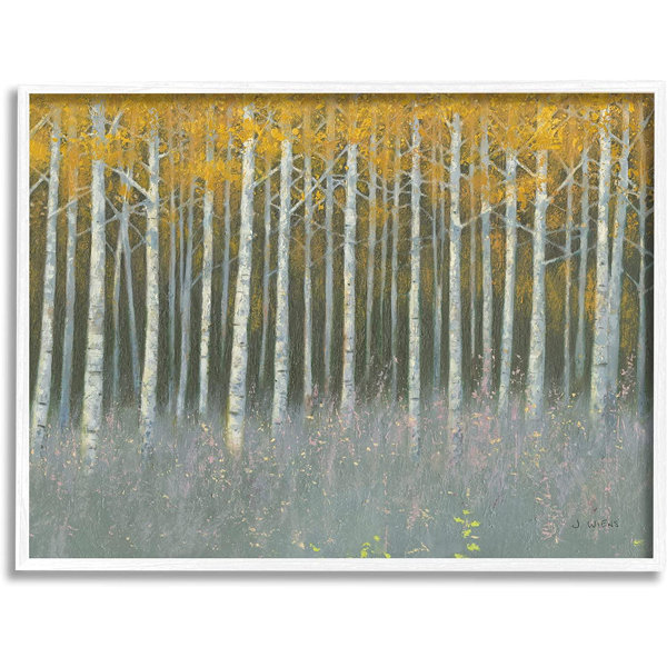 Millwood Pines Birch Tree Woodland Grove Outdoor Nature Landscape Birch ...