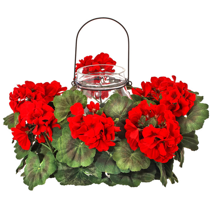 House of Hampton® Mature Geranium Floral Arrangement in Jar | Wayfair