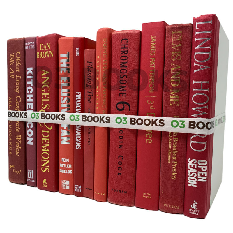 Trinx Ellisiv Modern Decorative Books & Reviews | Wayfair