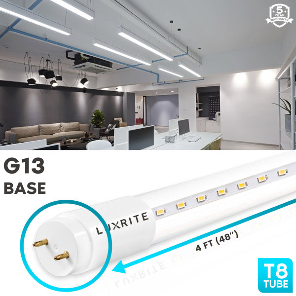 Luxrite 18 Watt (32 Watt Equivalent), T8 LED Tube Light, Color ...