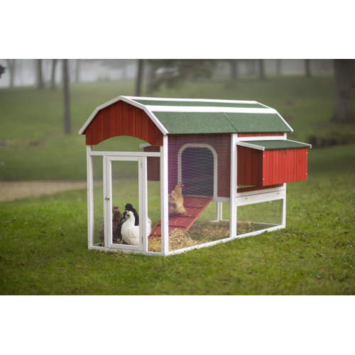 Archie & Oscar™ Hermione 33.93 Square Feet Chicken Coop with Chicken ...