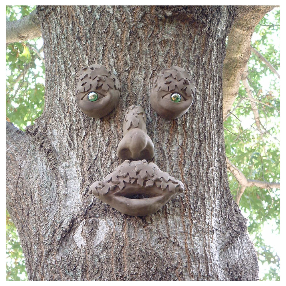 GenuineTreePeeple Mr. Mapleshade Tree Face & Reviews | Wayfair