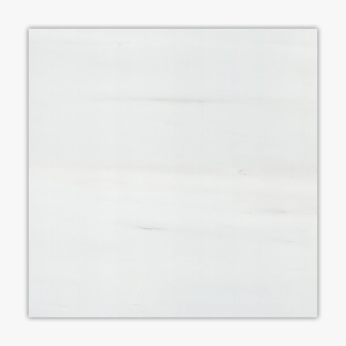Direct Stone Source Bianco Dolomiti 18" x 18" Marble Singular Wall ...