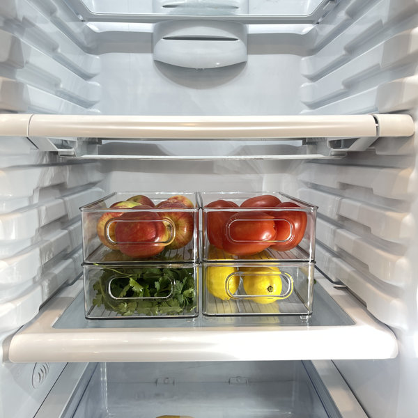 Lexi Home Acrylic Food Storage Container | Wayfair