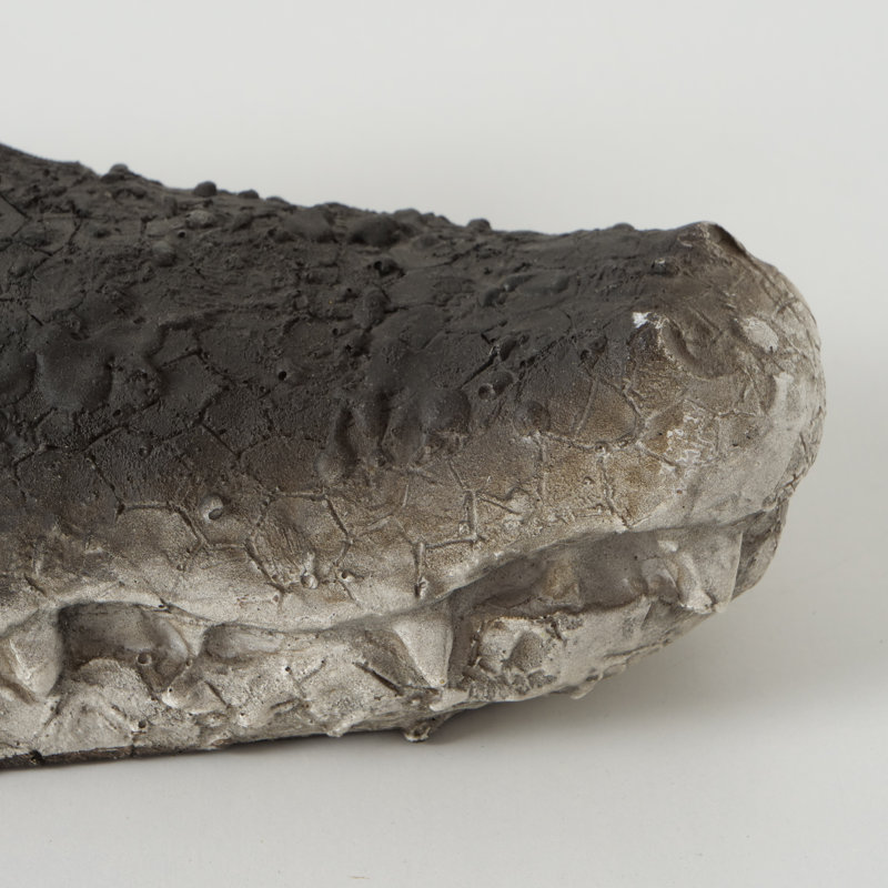 Bay Isle Home Davie Floating Crocodile Head Bust & Reviews | Wayfair